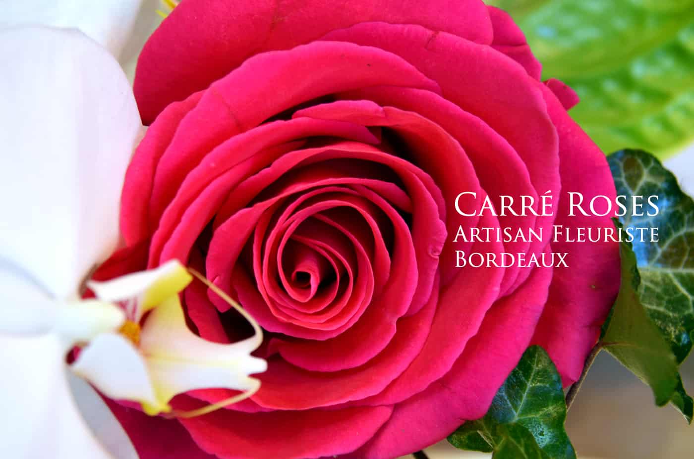 Carré Roses à Bordeaux - Carré Roses fleuriste à Bordeaux