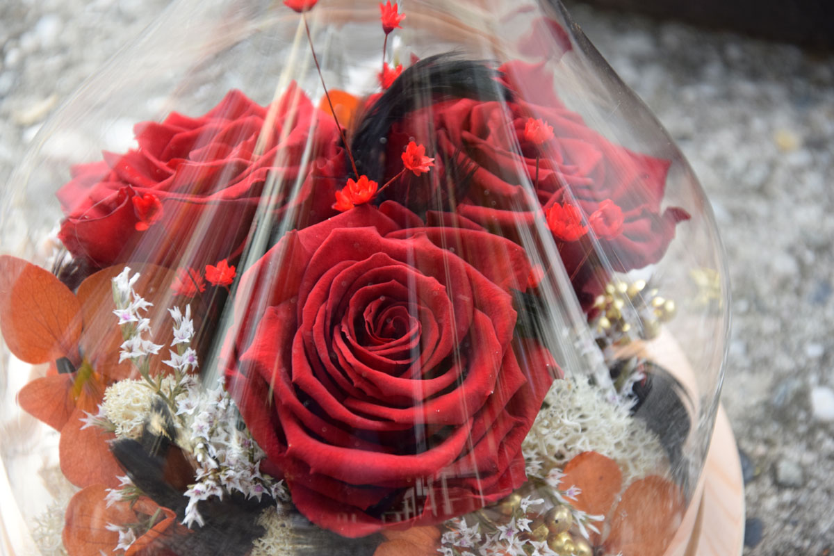Rose éternelle - Carré Roses fleuriste à Bordeaux